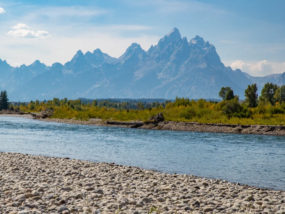 Conservation Impact | How One Fly Supports Jackson Hole Watersheds