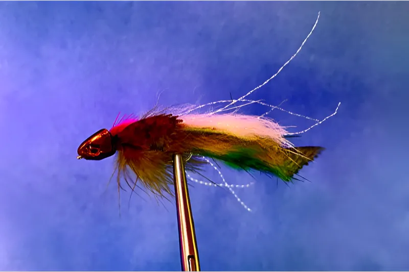 Jackson Hole One Fly Winning Flies – Top Patterns