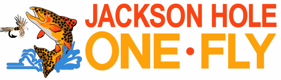 Jackson Hole One Fly Winning Flies – Top Patterns